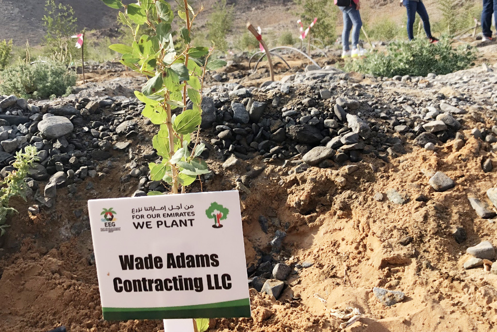 One Root, One Communi-Tree Project organised by Emirates Environmental ...