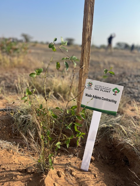 One Root, One Communi-Tree Initiative - 2023 by Emirates Environmental ...